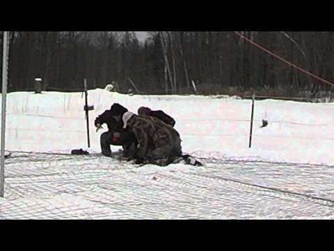 deer netting Wisconsin DNR