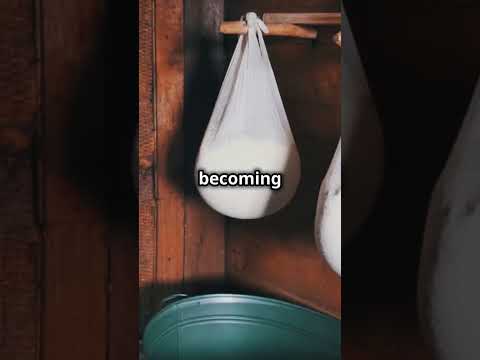 Discover the Ancient Art of Fermentation