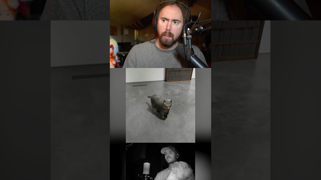 When The Devs Remember They Have Free Will