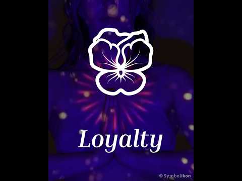 Violet - Flowers Symbols - Floriography - Flowers Meanings - Artemis - Greek myths - Christianity