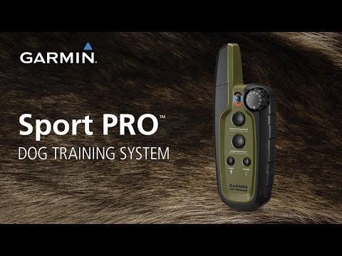 Garmin Sport PRO Bundle Dog Training System | Sportsman's Warehouse
