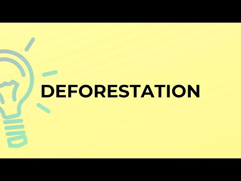 What is the meaning of the word DEFORESTATION?