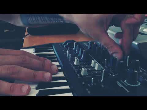 The UGLY Sound Experiments with Arturia Microbrute & Korg Microsampler
