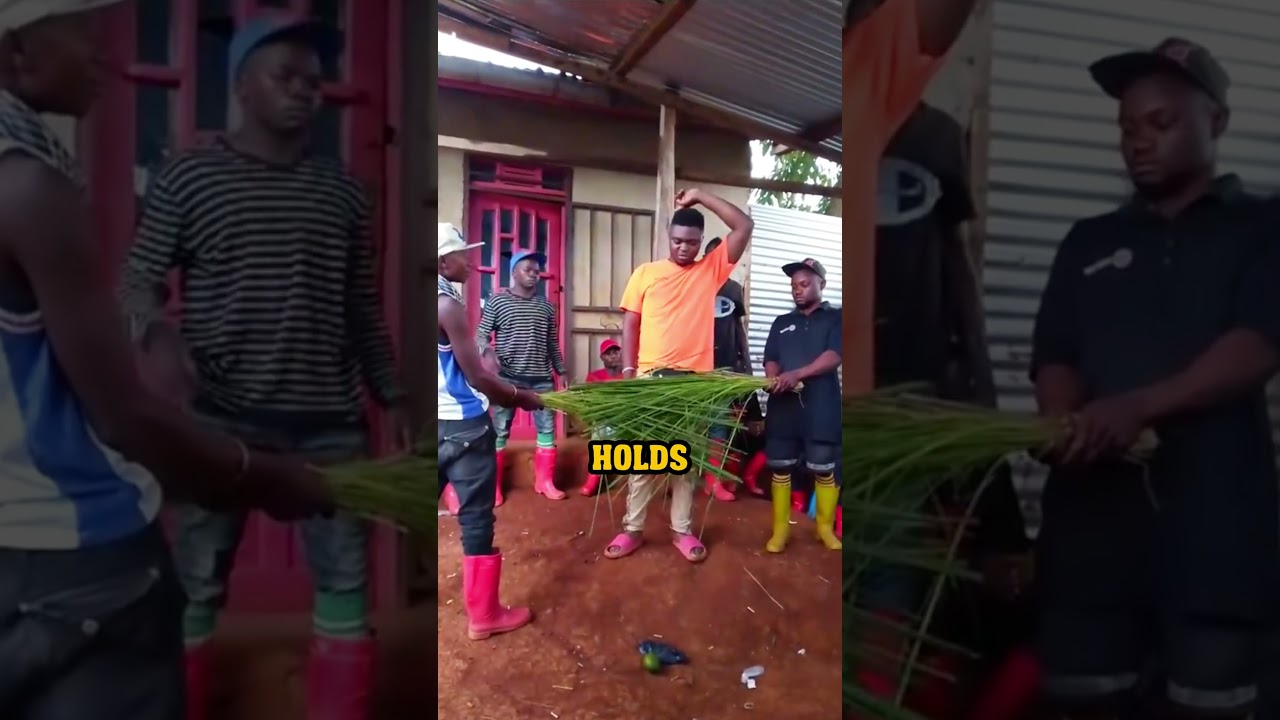 African Lie Detector 🤫