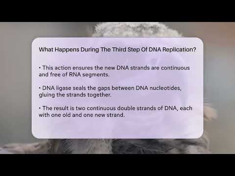 What Happens During The Third Step Of DNA Replication? - Biology For Everyone