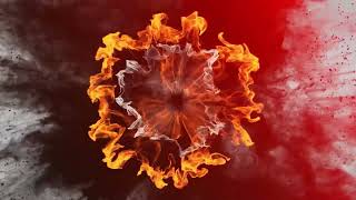 d2 Digital Designs Reviews and Clients | DesignRush