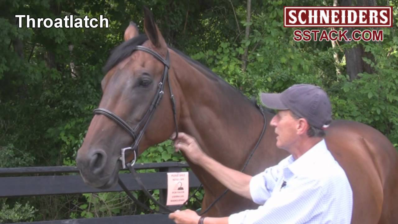 How to Fit your English Bridle with Schneider's