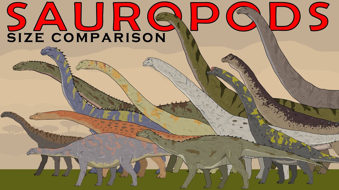 Dinosaurs Size Comparison: Sauropods vol.1 (Brachiosaurus, Diplodocus, Argentinosaurus)