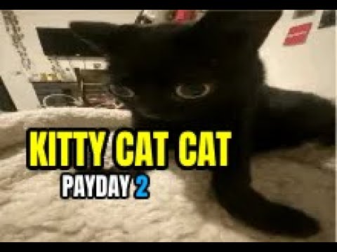 Steam Community :: Video :: Payday 2 -Kitty cat cat - jinx cat meme for ...