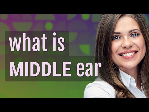 Middle ear | meaning of Middle ear