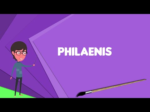 What is Philaenis? Explain Philaenis, Define Philaenis, Meaning of Philaenis