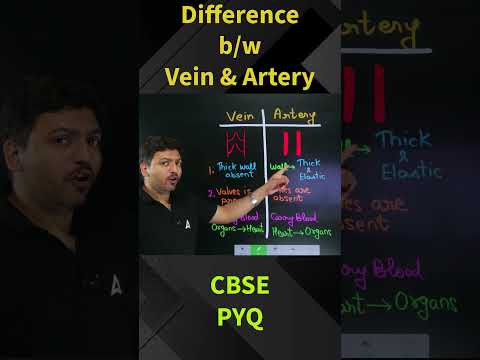 Difference Between Artery and Vein Class 10 #shorts #class10 #biology #science