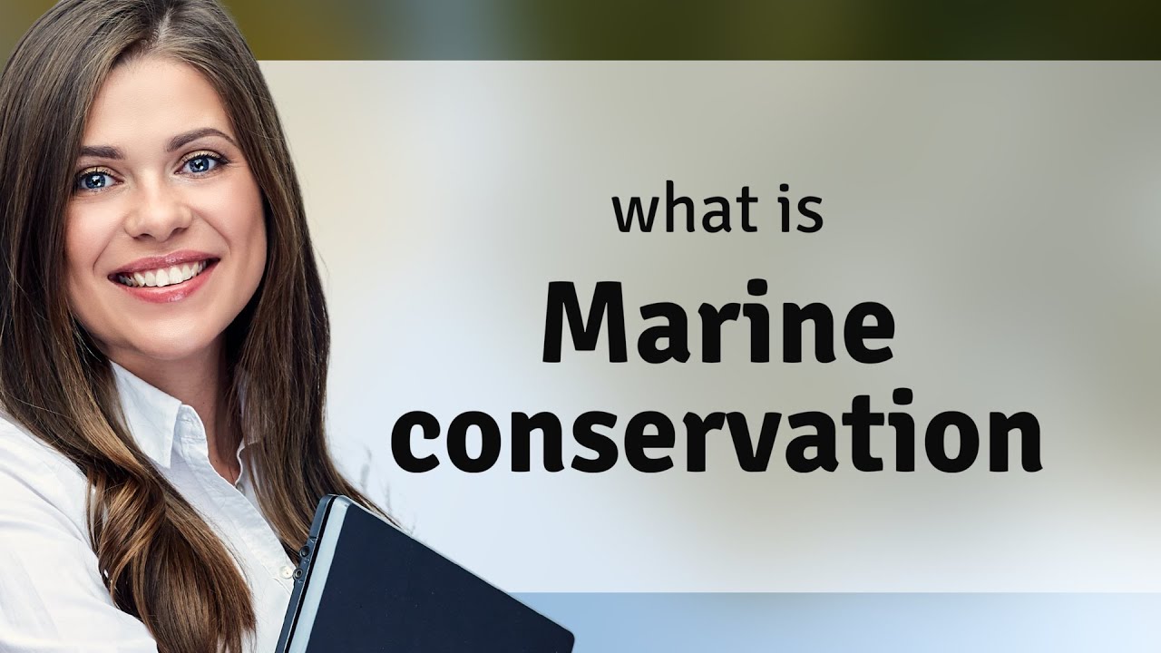Dive Into Marine Conservation: Protecting Our Oceans