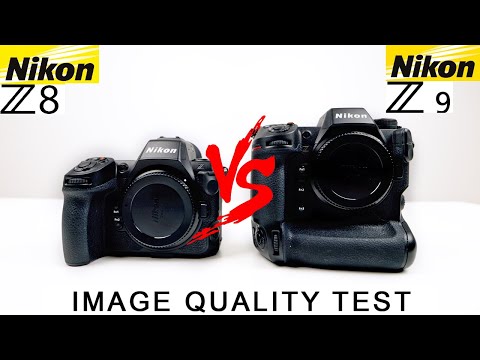 Nikon Z8 vs Z9: Image quality (1695)