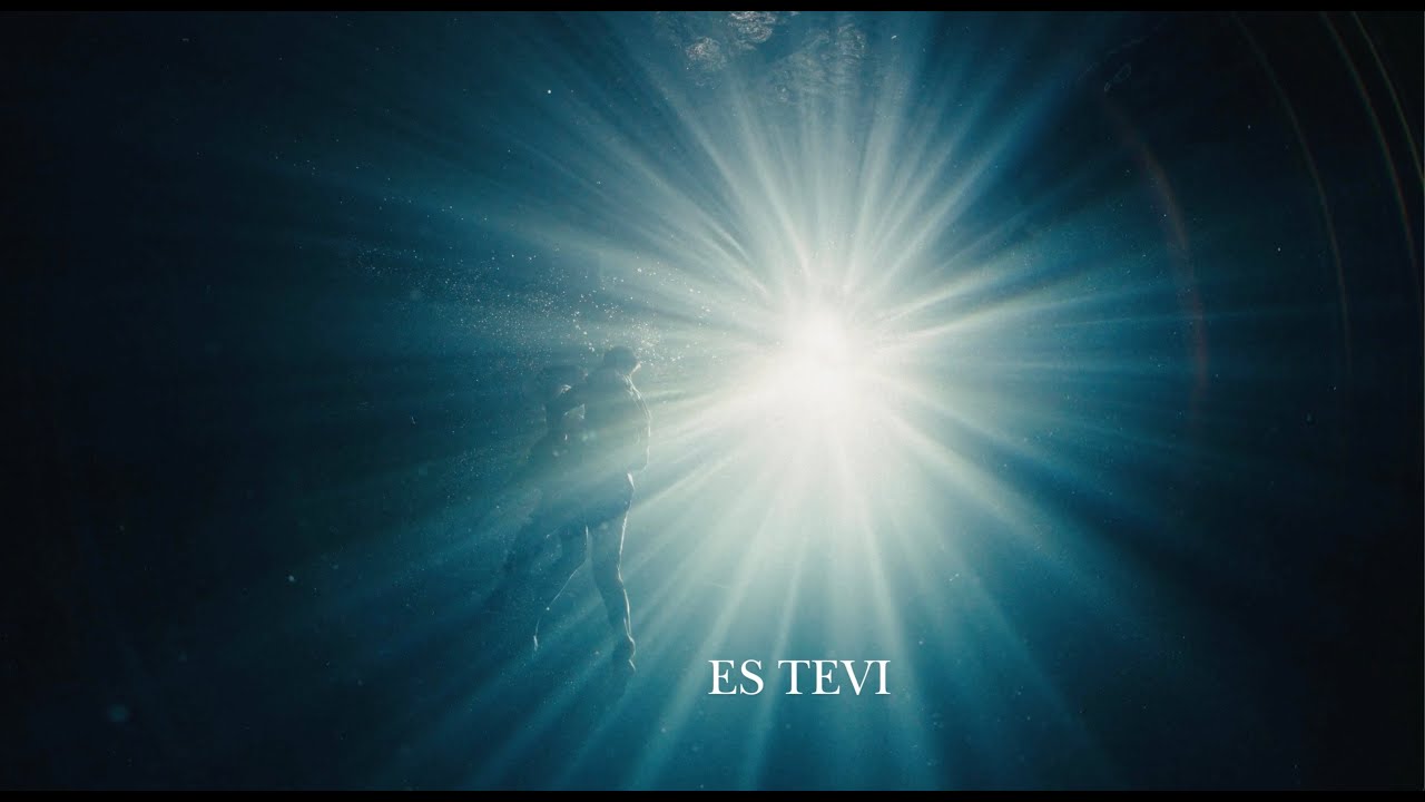 Lyrics & Translations of Es Tevi by Raimonds Pauls | Popnable