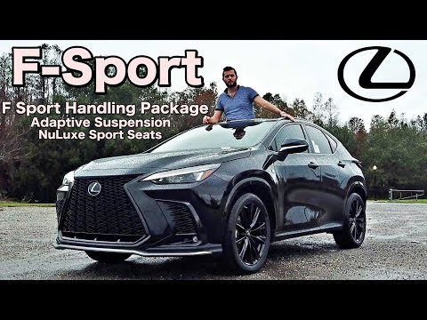 2023 Lexus nx 350 F-Sport: All Spec & Test Drive