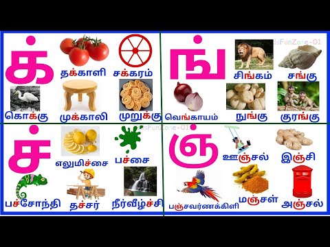 மெய் எழுத்துக்கள்|Mei Eluthukkal 5 Words for each Letter | Kids Learn Tamil Alphabets@KidsFunZone-01