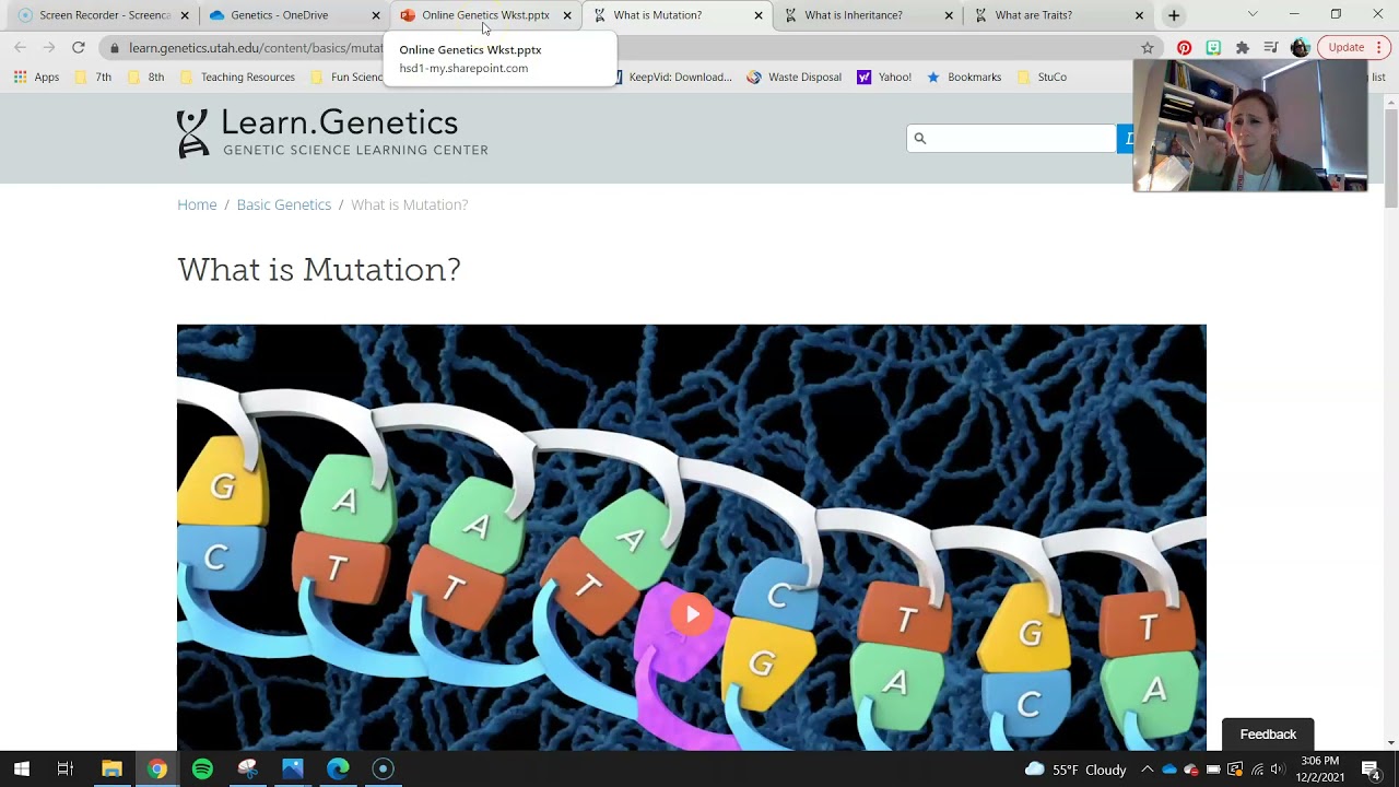 Online Genetics Worksheet
