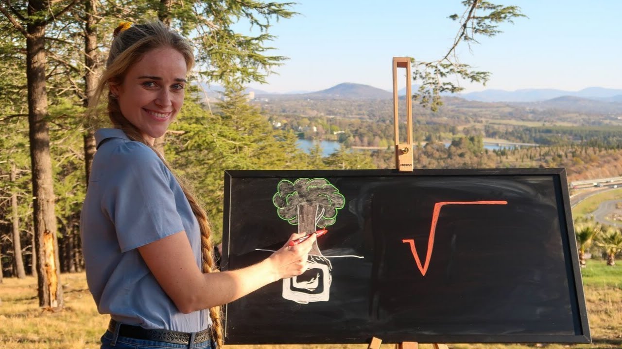 Square roots explained Bob Ross style