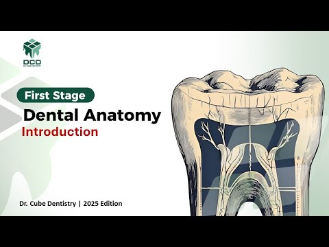DENTAL ANATOMY THEORY – DENTAL STUDENT