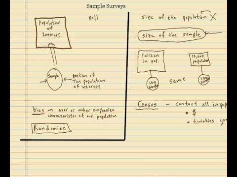 Sample Survey
