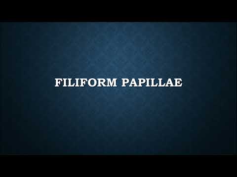 How to Pronounce Filiform Papillae