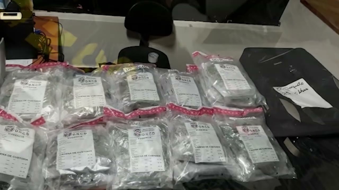 DNCD: INCAUTAN EN EL AILA 138 PAQUETES DE MARIHUANA DISTRUIBUIDOS EN SEIS MALETAS