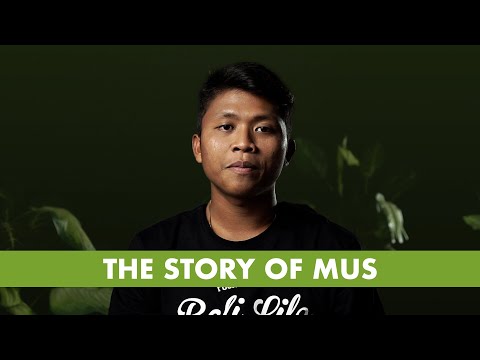 The Story Of Mus