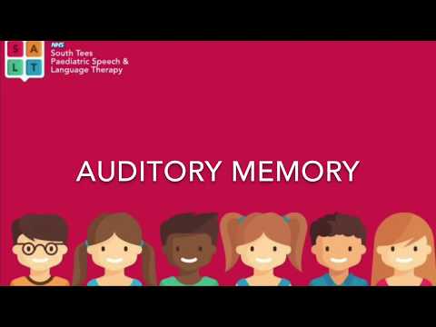 Auditory Memory