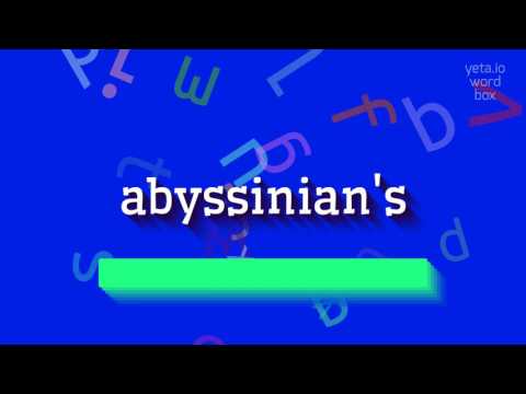 ABYSSINIAN'S - HOW TO PRONOUNCE ABYSSINIAN'S?
