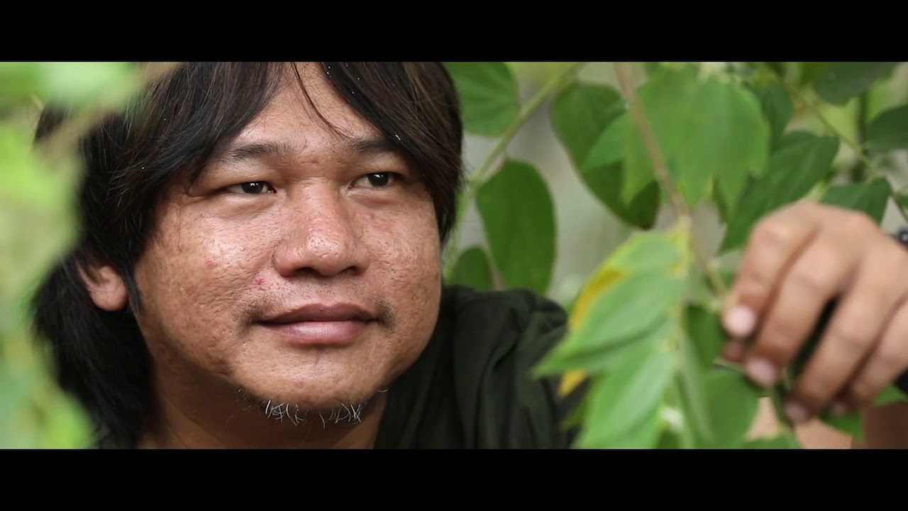 Forest Conservation through Sustainable Livelihoods: Wendi Tamariska- Winner 2019 Whitley Awards