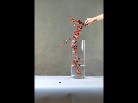 密若繁星一树红,高高枝上挂灯笼。#flowermaking #flowers #flowerarrangement #艺术