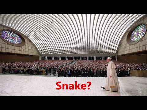 What's up with the Pope and the Vatican with the creepy snake / demon imagery?