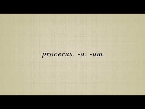 procerus, a, um