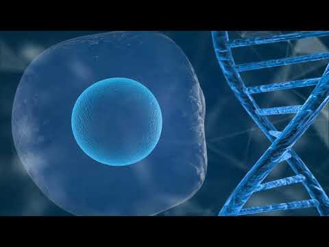 Altruism: The True Creator of Life