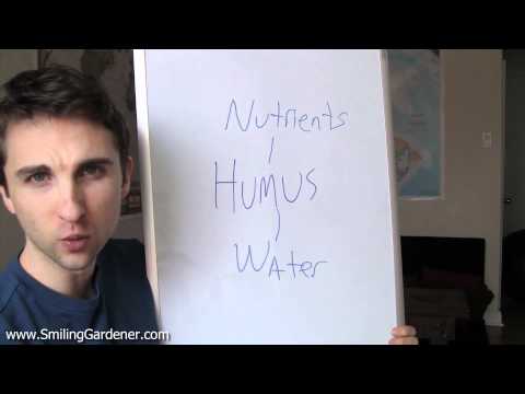 I Define Humus And Why It's Important For Gardeners