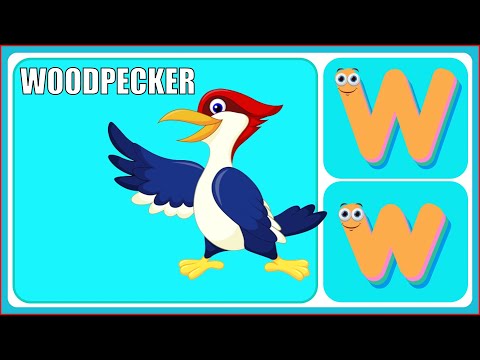 3 Words That Start With W | The Letter W Sound | Toddler Learning Video