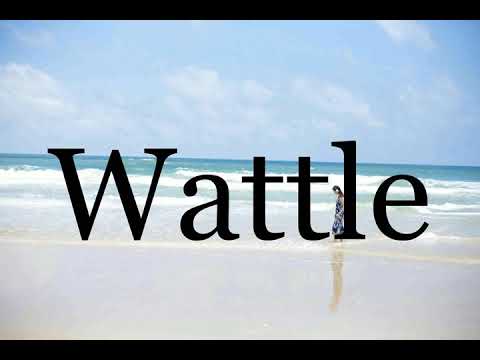 How To Pronounce Wattle🌈🌈🌈🌈🌈🌈Pronunciation Of Wattle