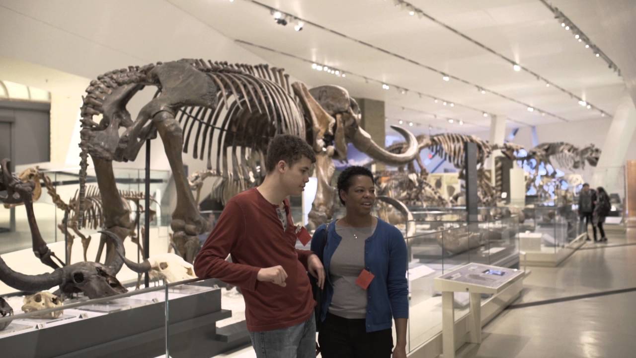 Inclusive Spaces: Making Museums Accessible