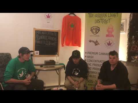Purple haze, mr nice guy, fruit by the foot strain review.