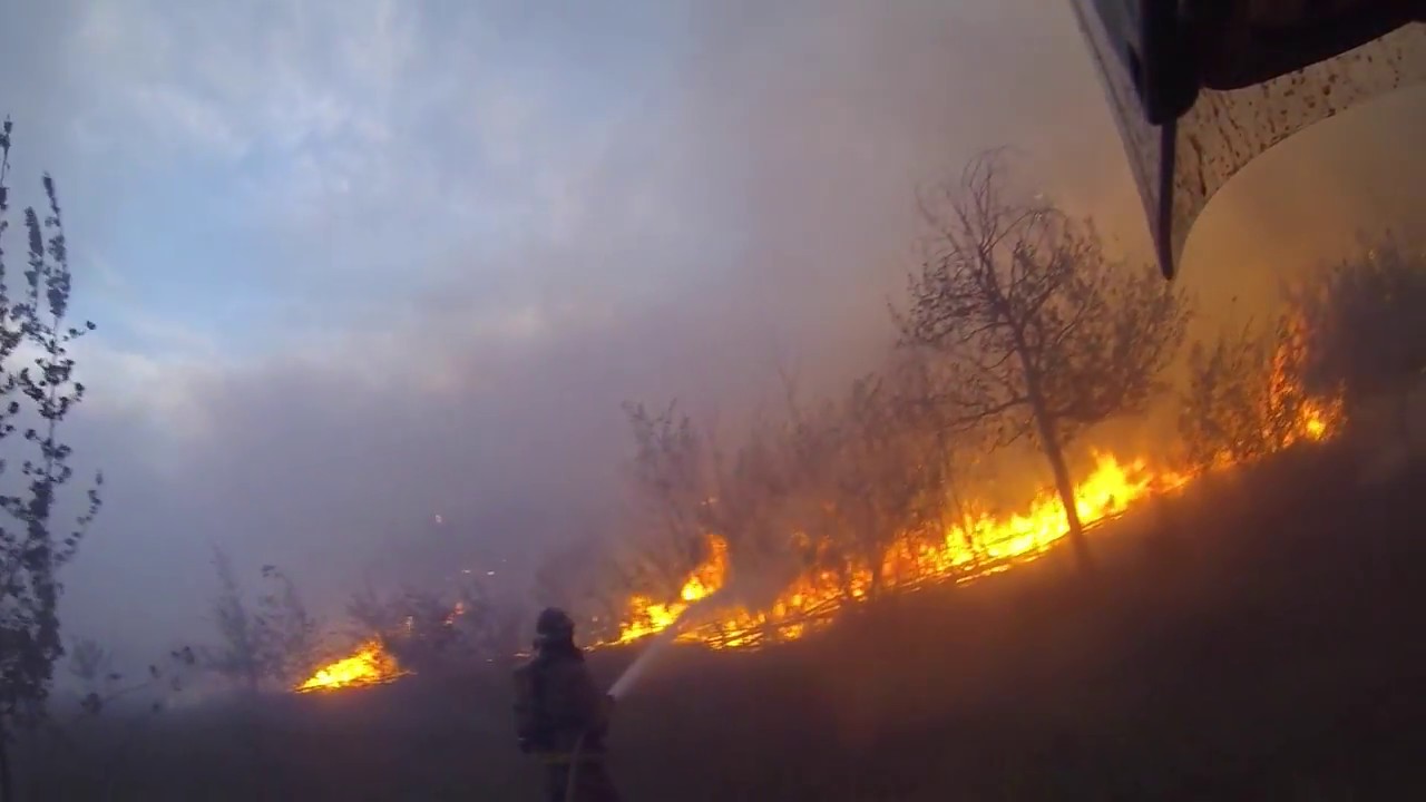 OFD Recruiting Video