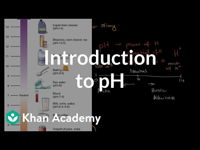 Understanding the pH Scale: The Key to Acidity and Basicity | Galaxy