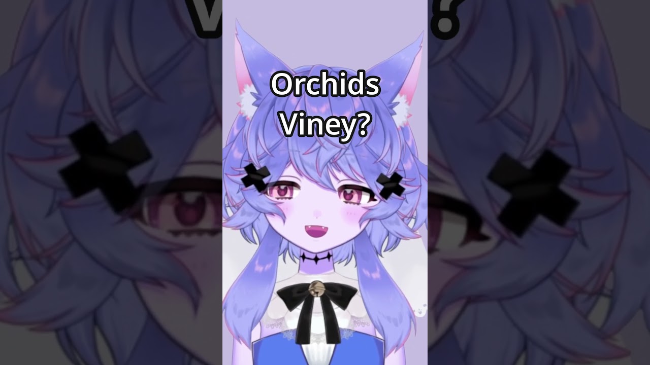 Orchids, the Viney Plant?