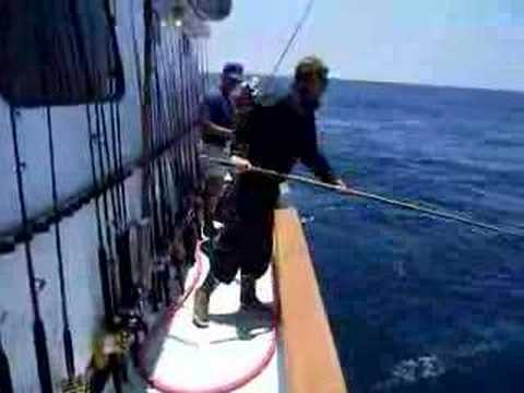 Searcher Sportfishing