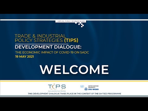 The economic impact of COVID-19 on SADC