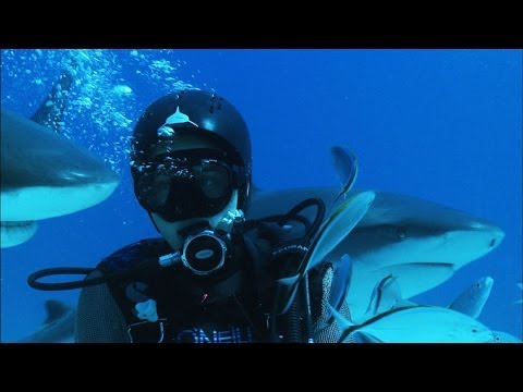 For Madison Stewart, Sharks Are Family | Here & Now