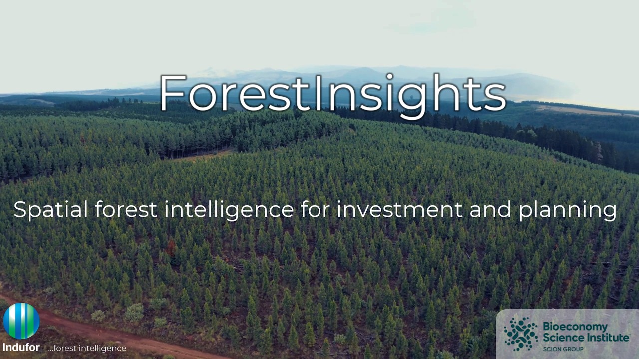 Introducing ForestInsights