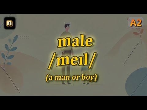 [n] Male meaning (a man or boy) with 5 examples