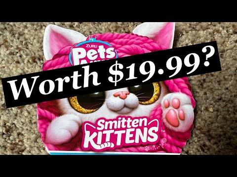 PETS ALIVE - SMITTEN KITTENS - What’s inside this $19.99 product?