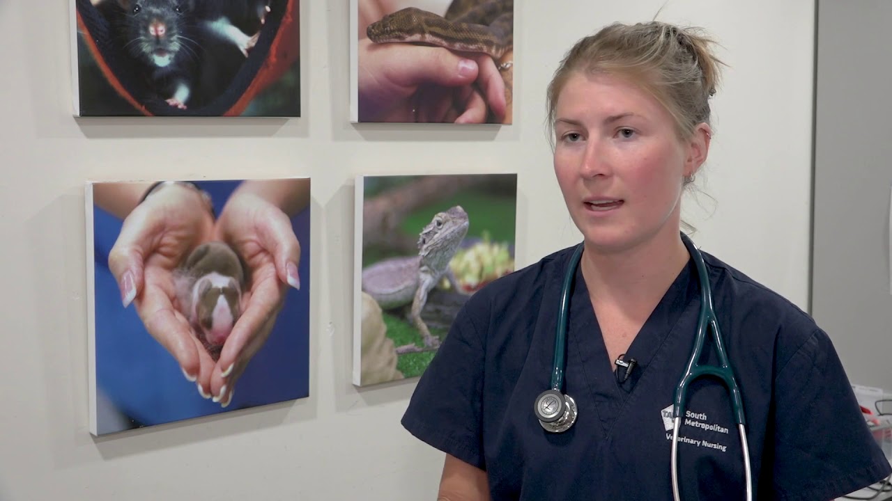 Vet Nursing - Emma